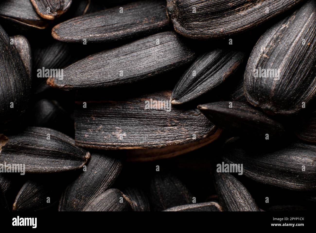 Black sunflower seeds close-up close-up Stock Photo - Alamy