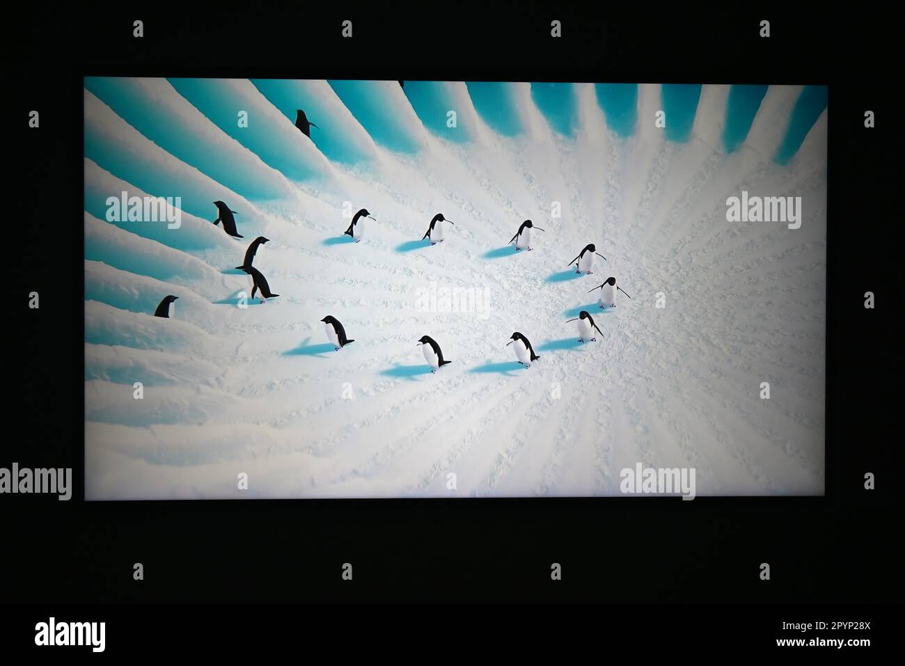 Cath simard hi-res stock photography and images - Alamy