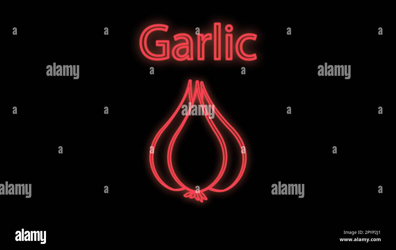 garlic on a black background, vector illustration, neon. seasoning for ...