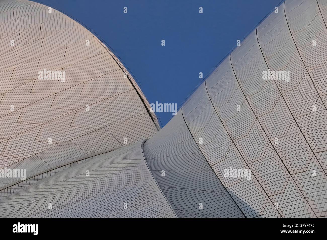 587 View at twilight from the SW of the Sydney Opera House shell roofs ...