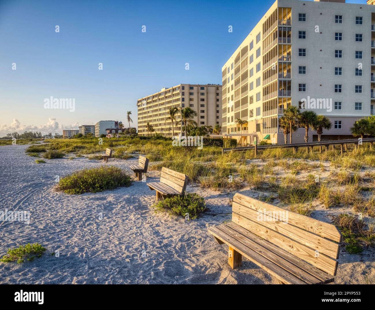 Late afternoon golden light on Condo buildings on the Gulf of Mexico ...