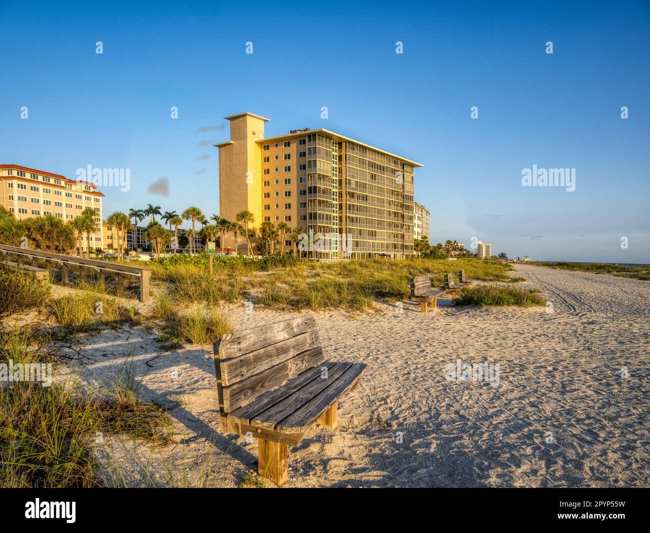 Late afternoon golden light on Condo buildings on the Gulf of Mexico ...