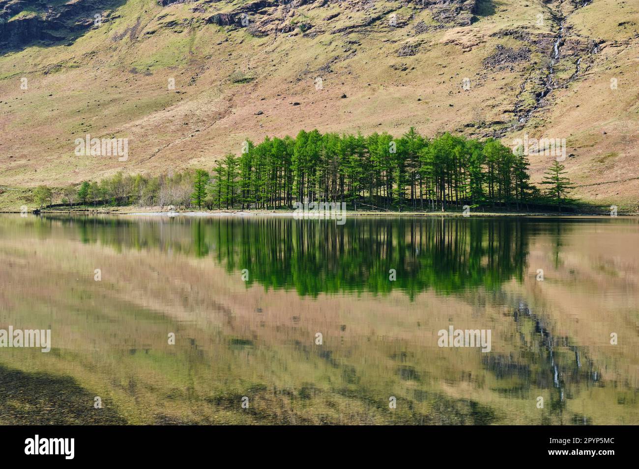 Buttermere trees lake district hi-res stock photography and images - Alamy