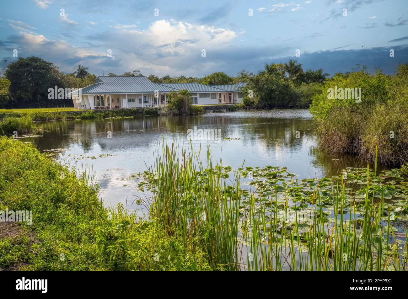 Royal Palm and Anhinga Trail area of Everglades National Park in ...