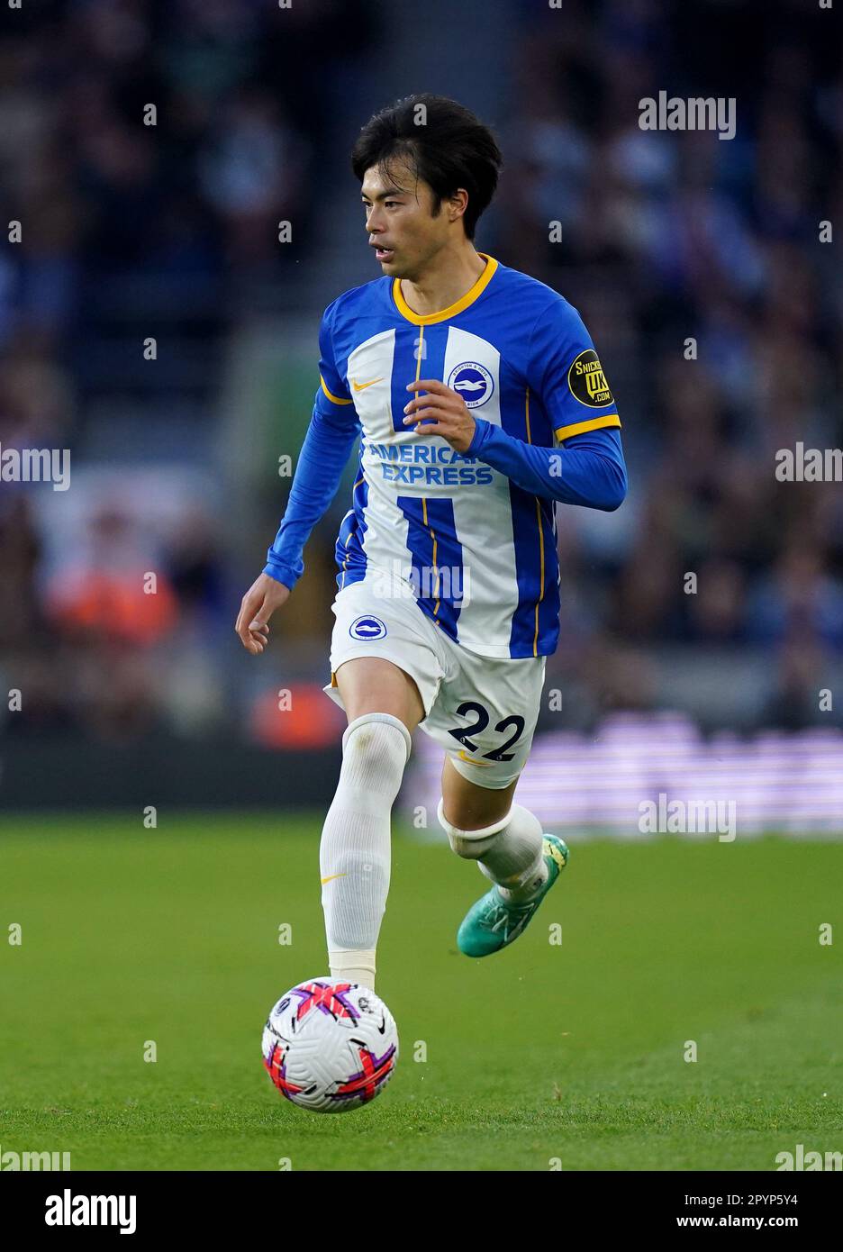 Brighton and Hove Albion's Kaoru Mitoma during the Premier League match ...