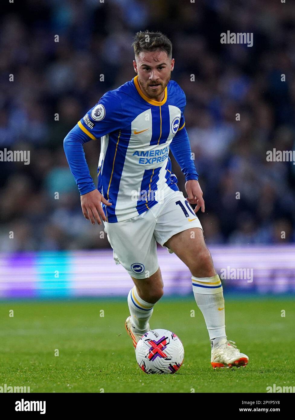 Brighton and Hove Albion's Alexis Mac Allister during the Premier League match at the AMEX ...