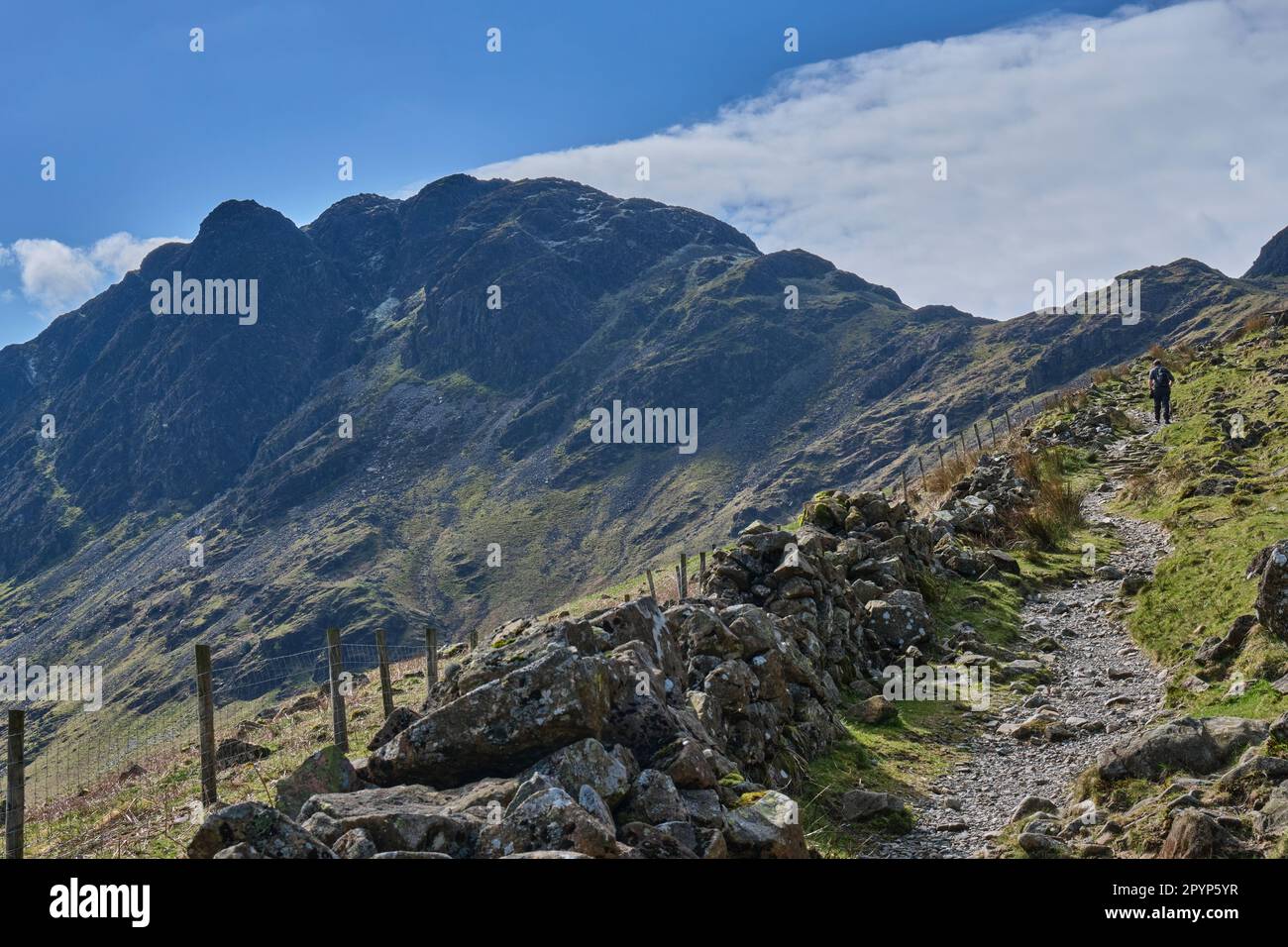 Haystacks, seen from Buttermere Fell, Buttermere, Lake District ...