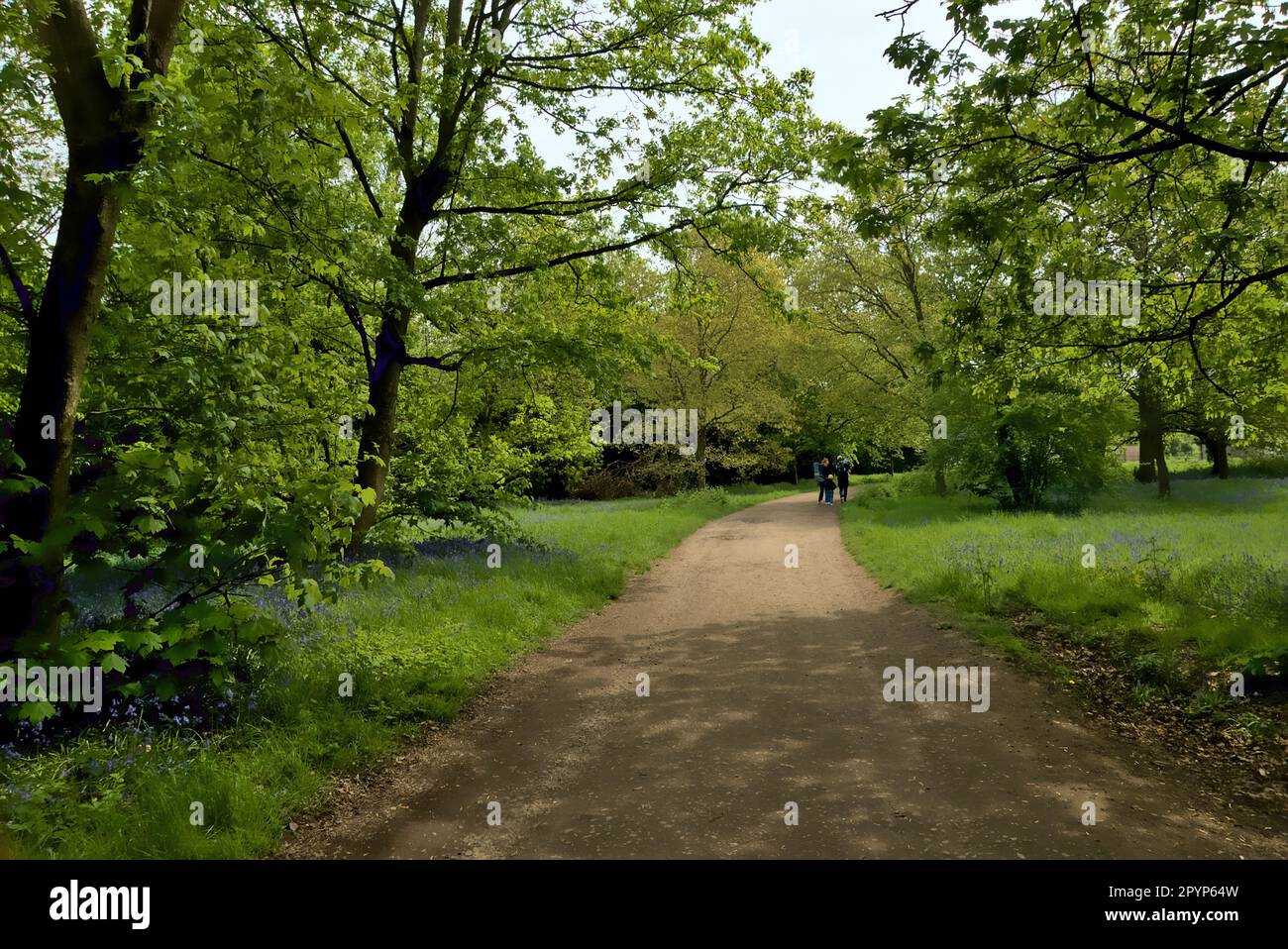 Trail in Wanstead Park, London Stock Photo - Alamy