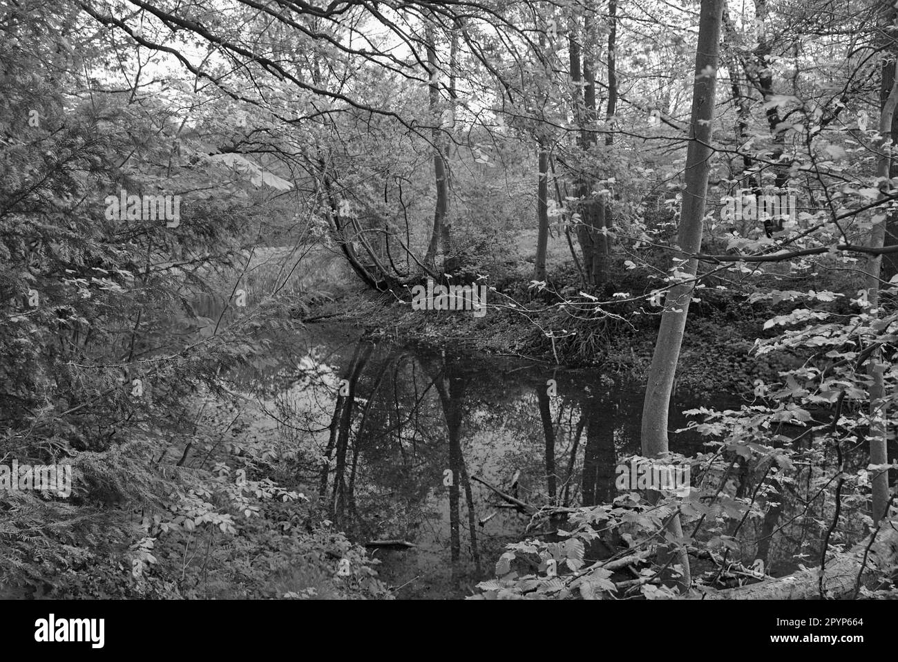 Island london uk Black and White Stock Photos & Images - Alamy