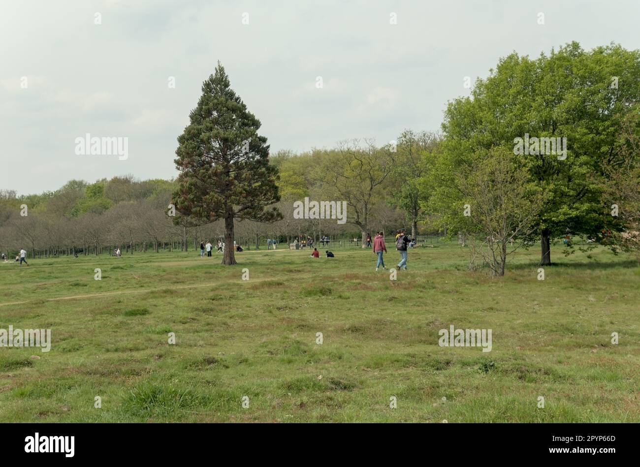 Scenic morning landscape view of Wanstead Park, London Stock Photo - Alamy