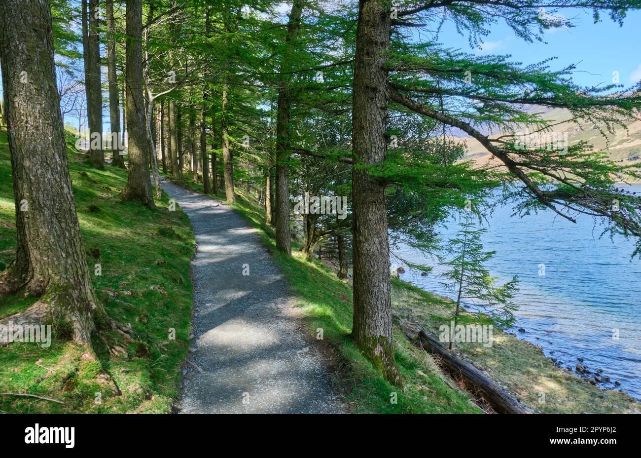White wood path sky hi-res stock photography and images - Alamy