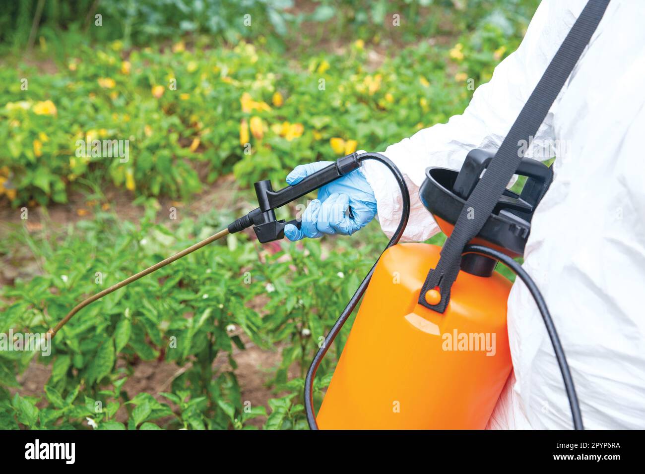 Pesticide insecticide herbicide glyphosate hi-res stock photography and ...