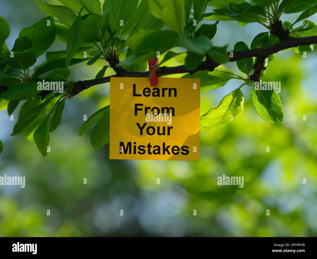 Learn From Your Mistakes Learn From Your Mistakes
