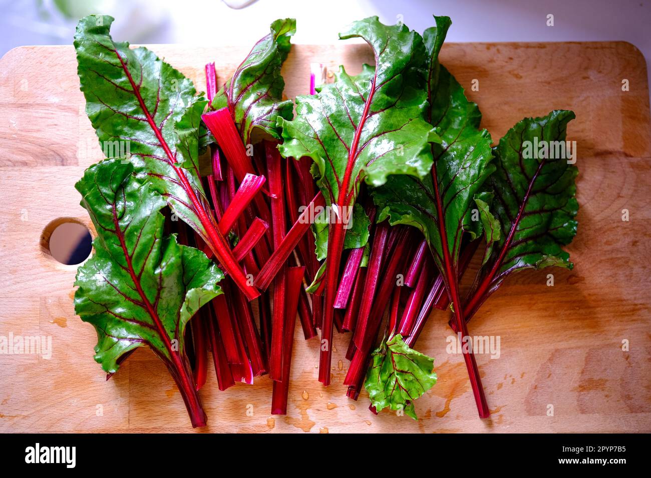 Fresh raw beet greens ready for cooking. Healthy eating Stock Photo - Alamy
