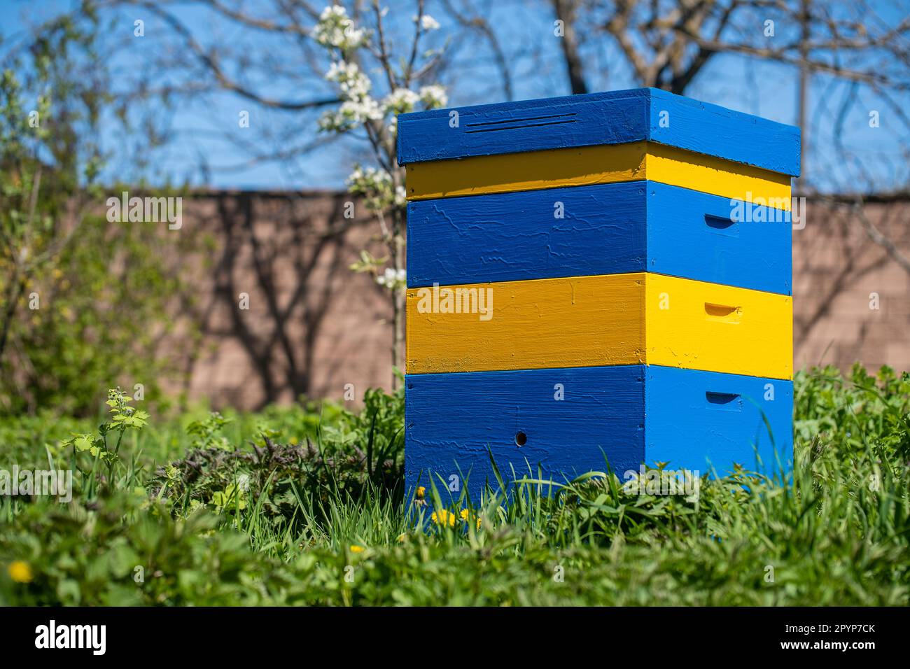 Beehive lid hi-res stock photography and images - Alamy