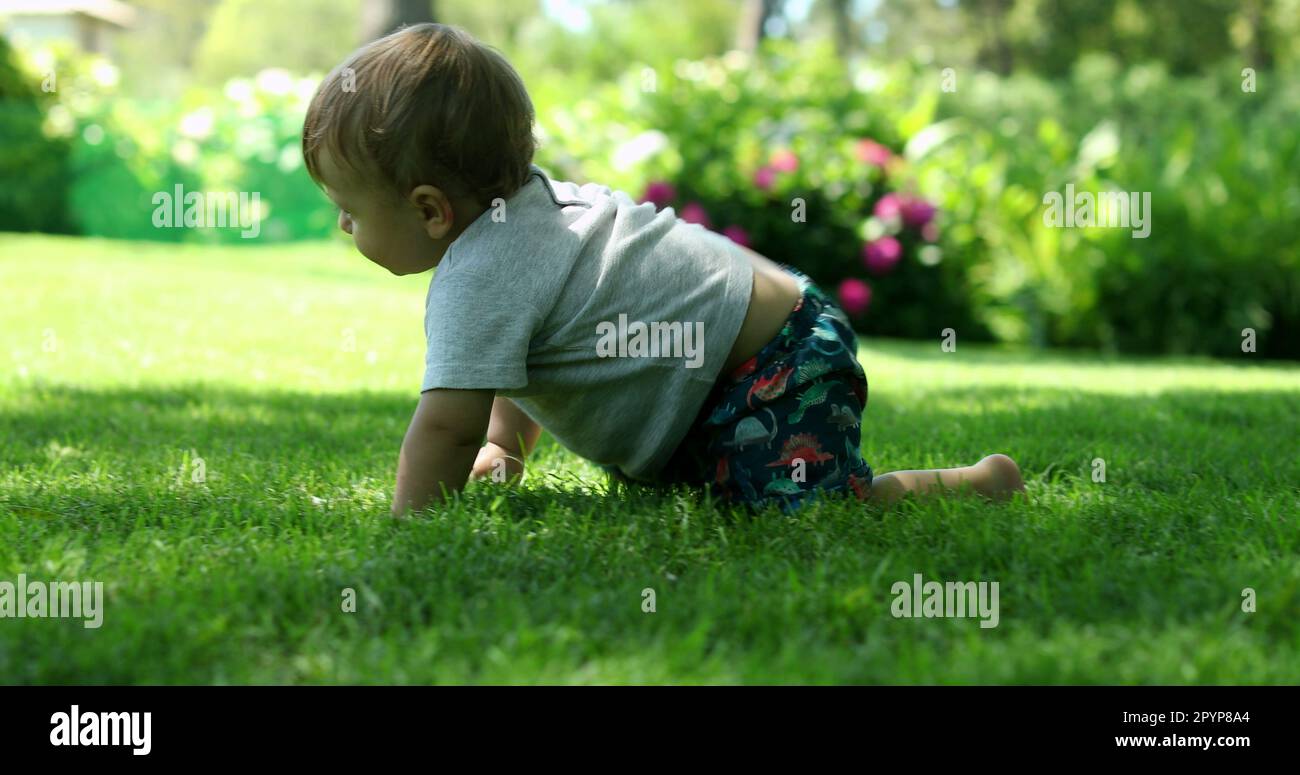 Cute baby crawling outside in home lawn Stock Photo - Alamy