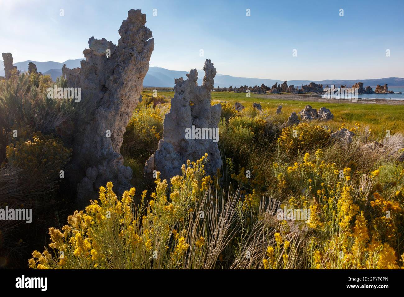 October brings autumn colors to the shores of Mono Lake in the Eastern ...