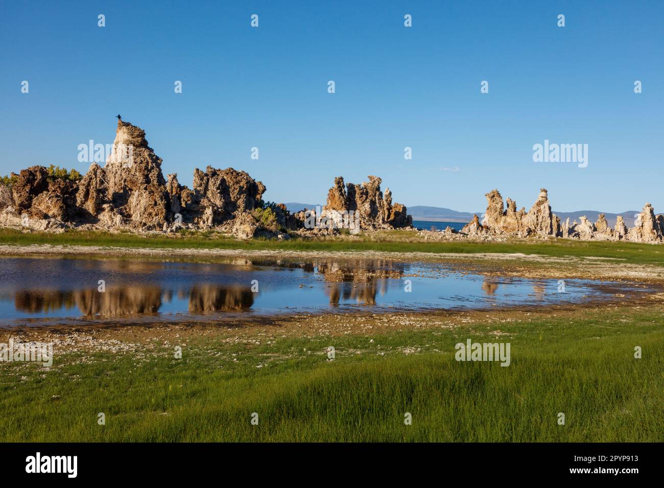 October brings autumn colors to the shores of Mono Lake in the Eastern ...