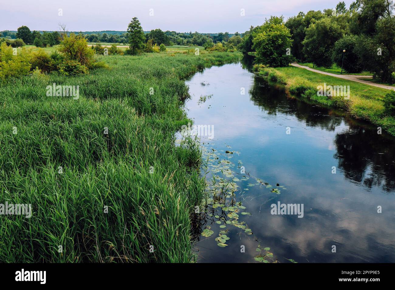 Suprasl river and grassy wetland of Podlasie region in Poland Stock ...