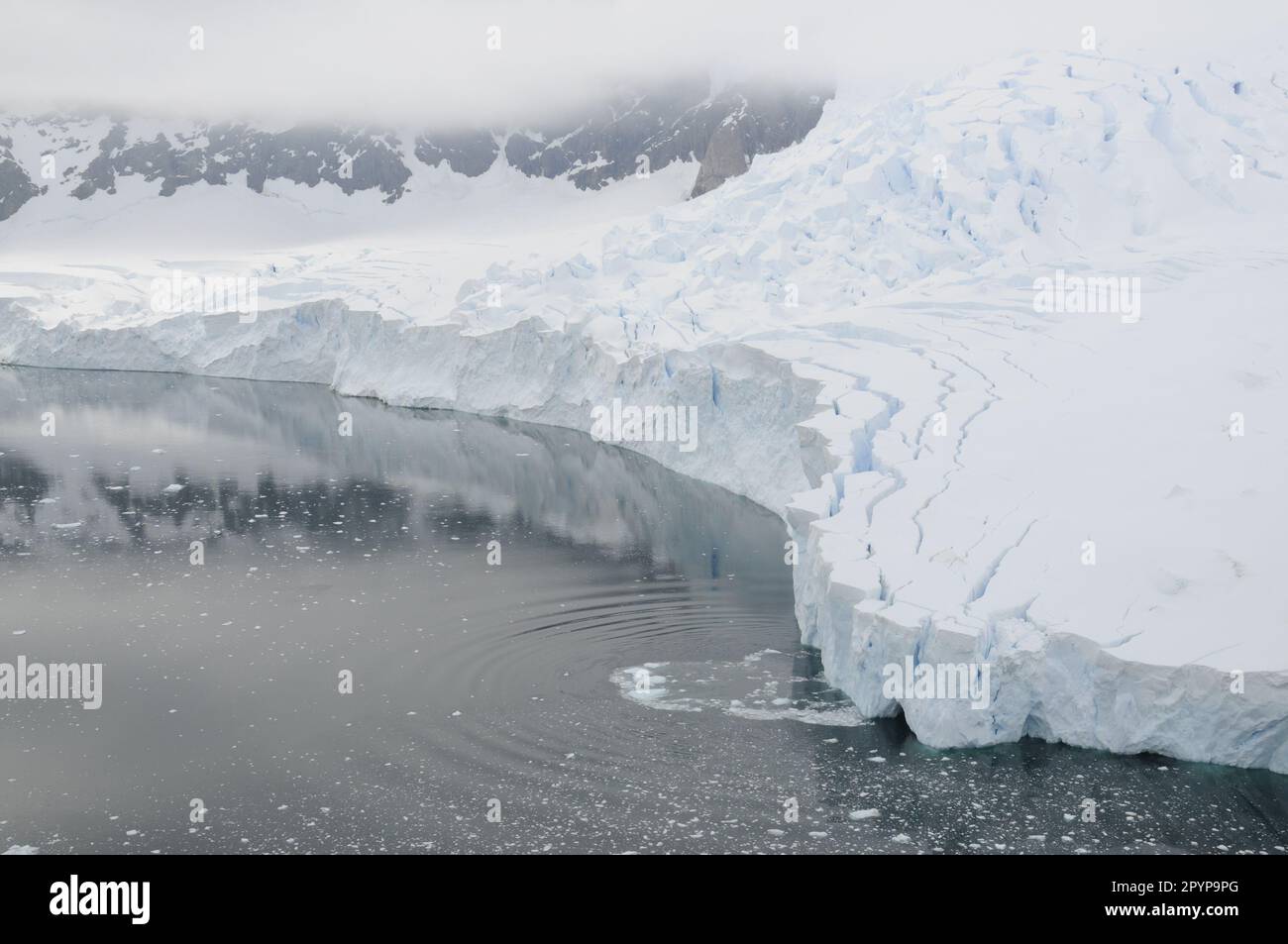 Ice Calving- climate change and global warming, Antarctica Stock Photo ...