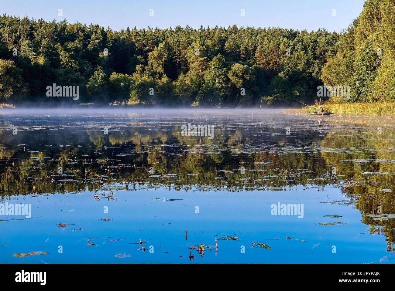 Summer water scenery. Fishing on a forest lake in the early morning ...
