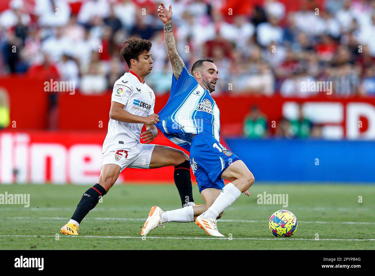 Sergi Darder of RCD Espanyol and Oliver Torres of Sevilla FC Stock ...