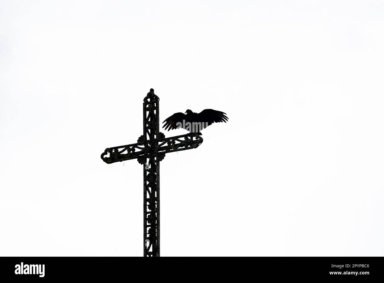 A vulture on top of the cross of a catholic church. City of Valenca ...