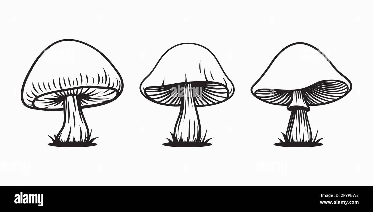 Vector Hand Drawn Cartoon Flat Mushroom Icon Set. Mushroom Illustration ...