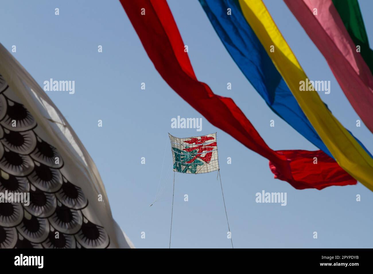 Sagamihara, Japan, May 5th. 2023, A large kite flies behind koinobori ...