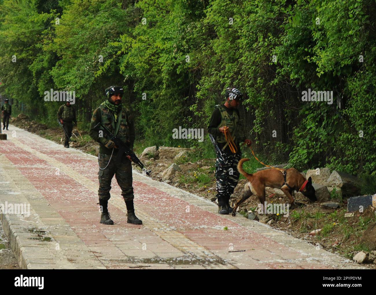 Dal gate hi-res stock photography and images - Alamy