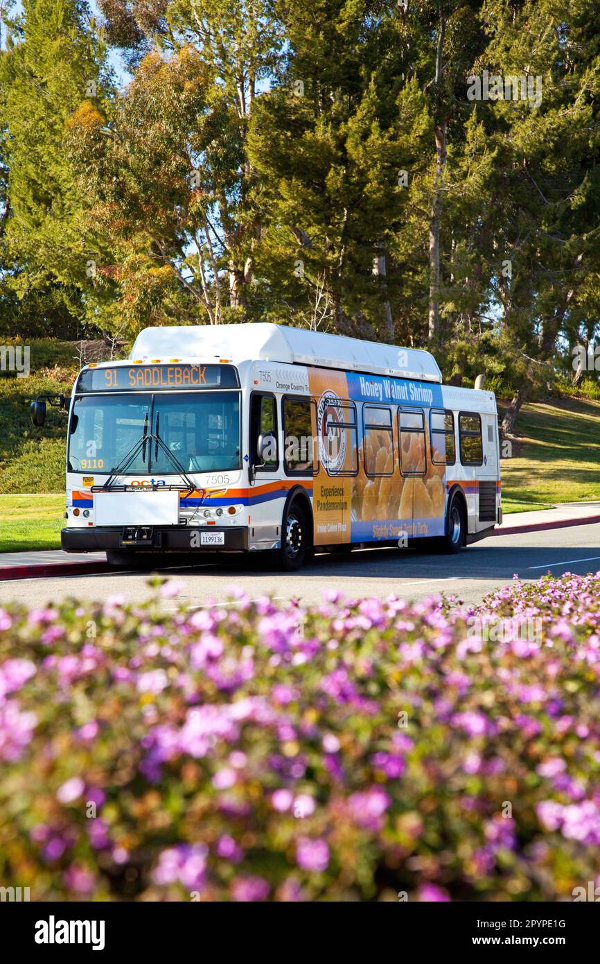 Octa bus hi-res stock photography and images - Alamy