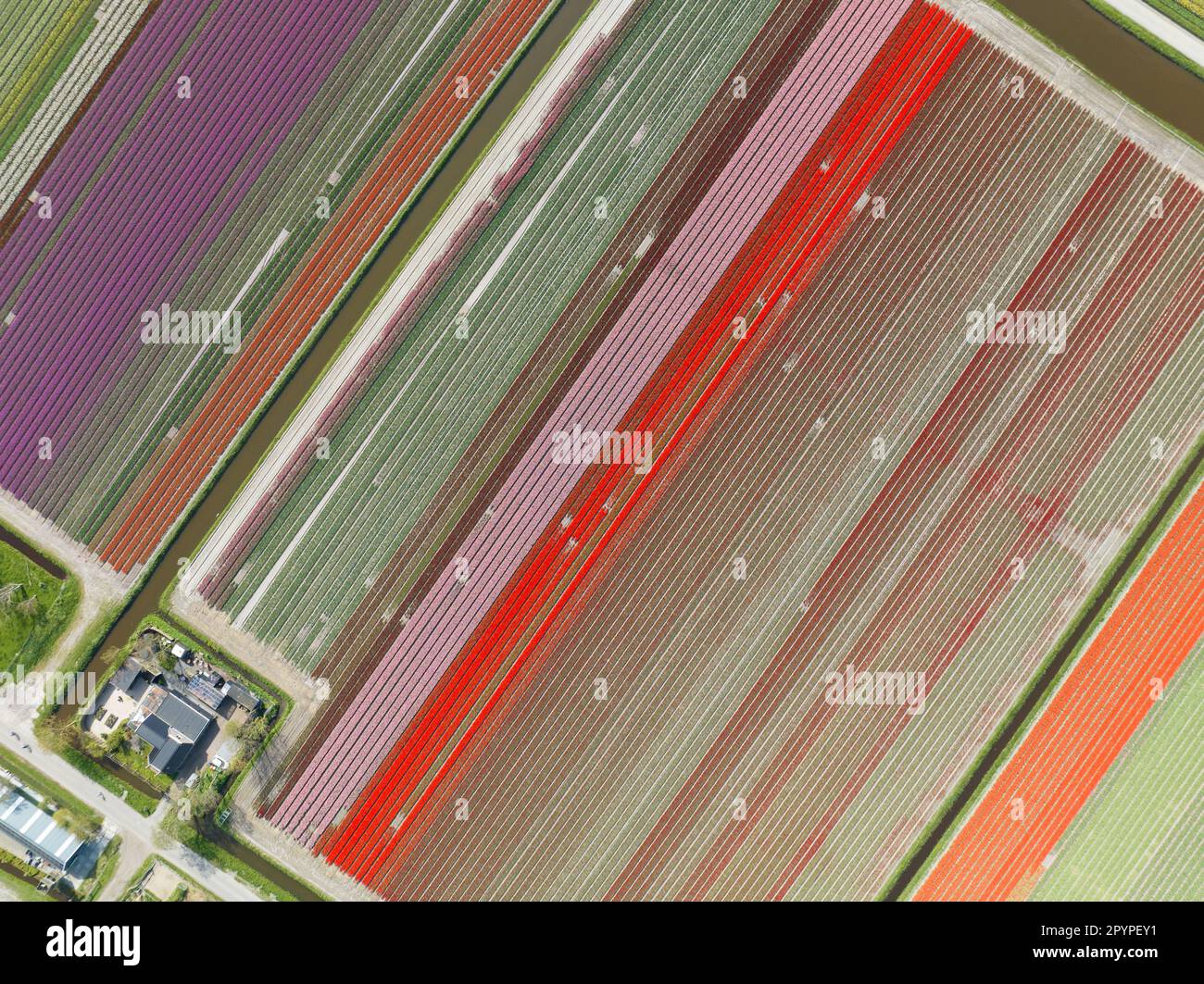 A spectacular display of vibrant colors and patterns spread across vast ...