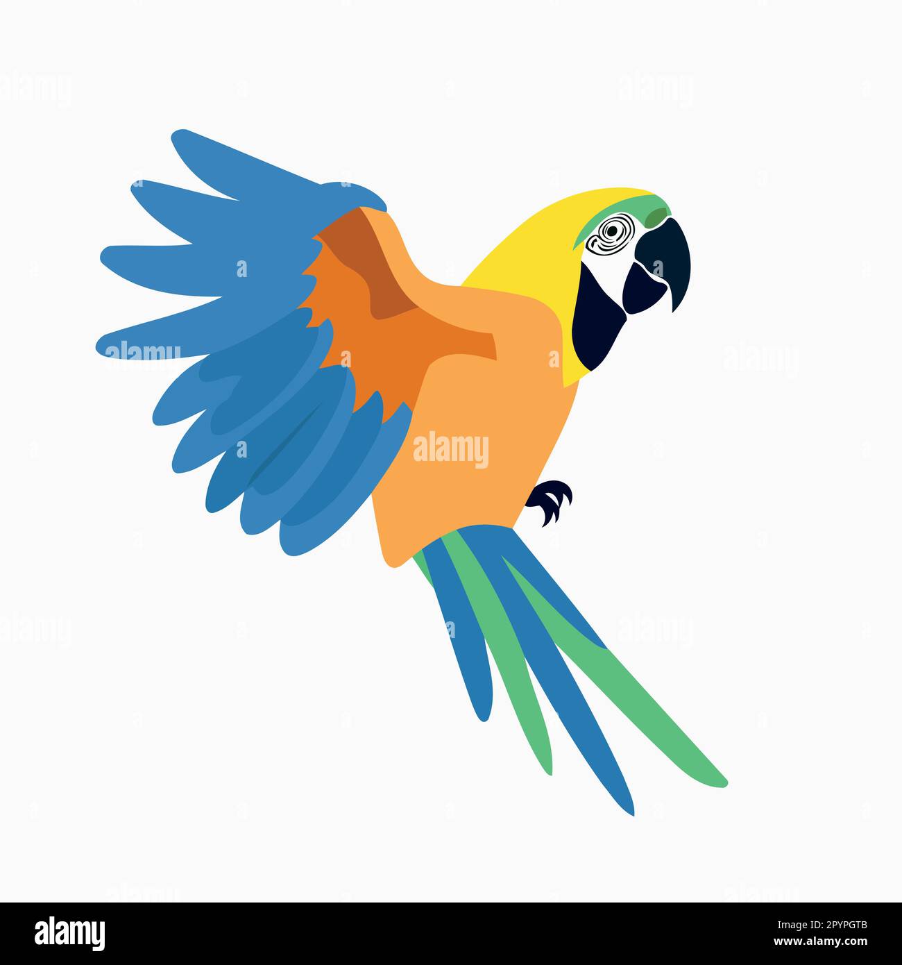 Parrot Flying Clipart