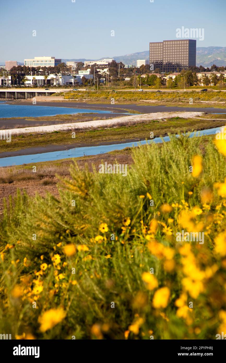 Newport Beach Back Bay Stock Photo - Alamy