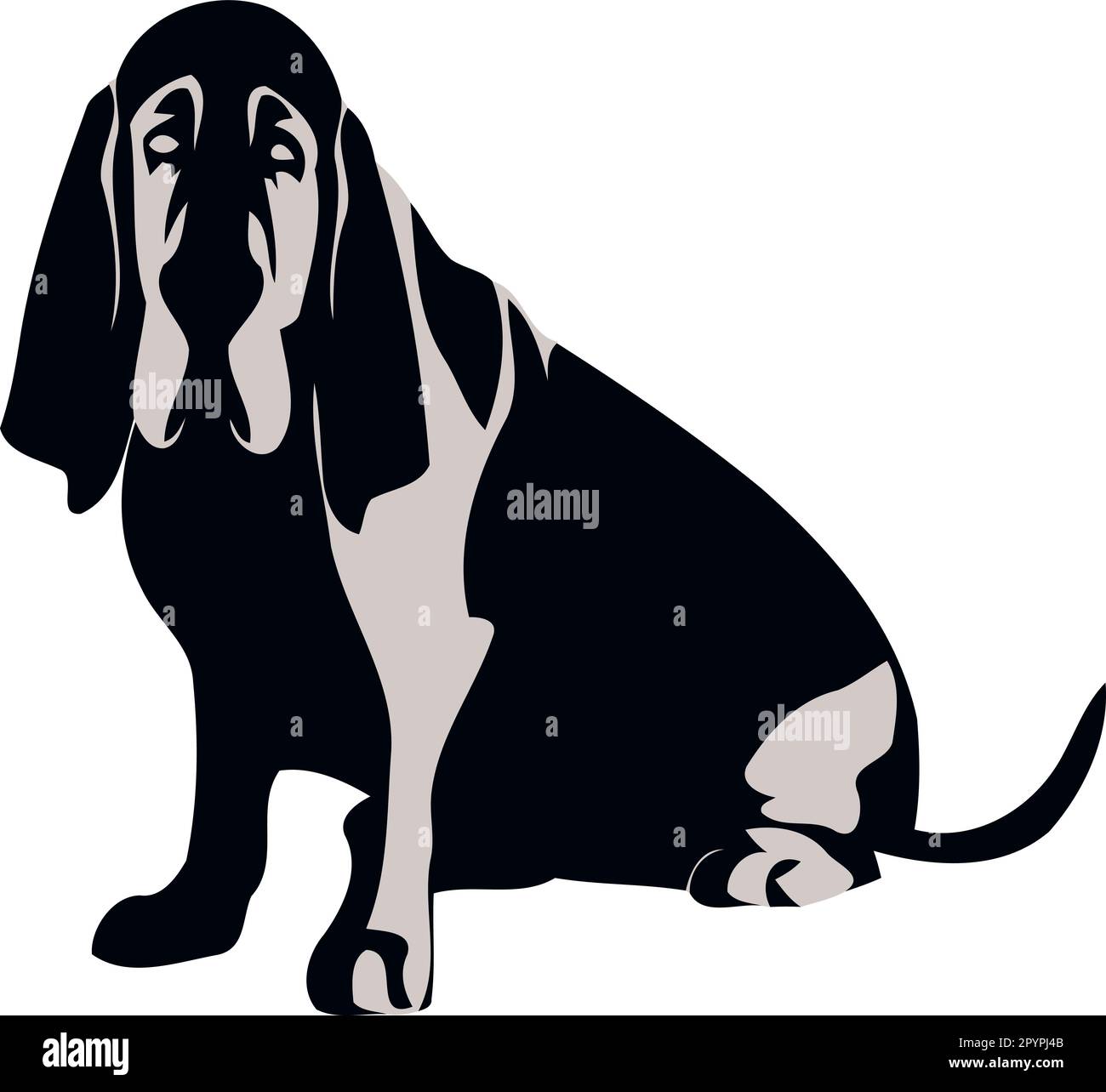 Bloodhound breed dog silhouette in black and white minimalist vector ...