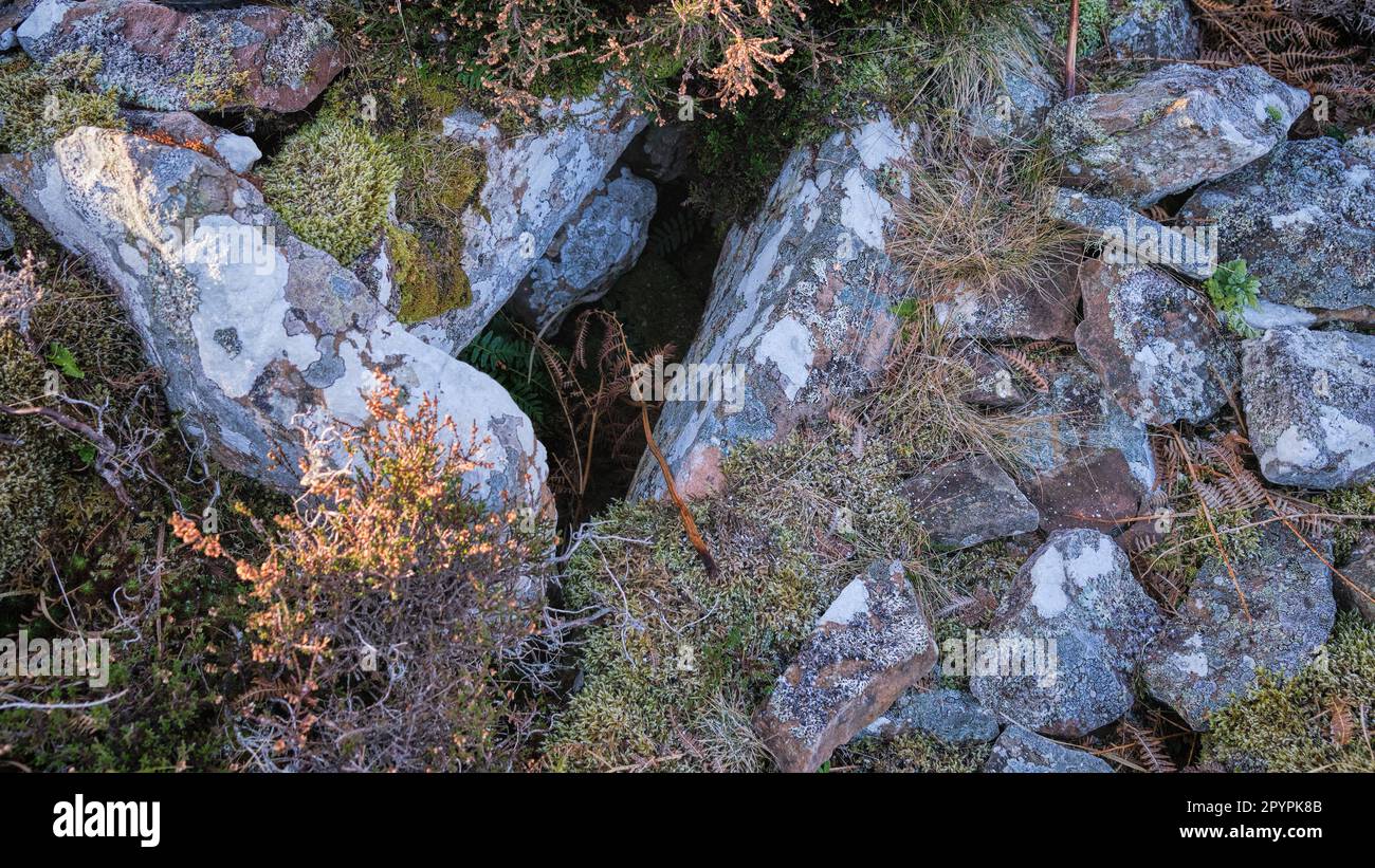Scottish broch hi-res stock photography and images - Alamy