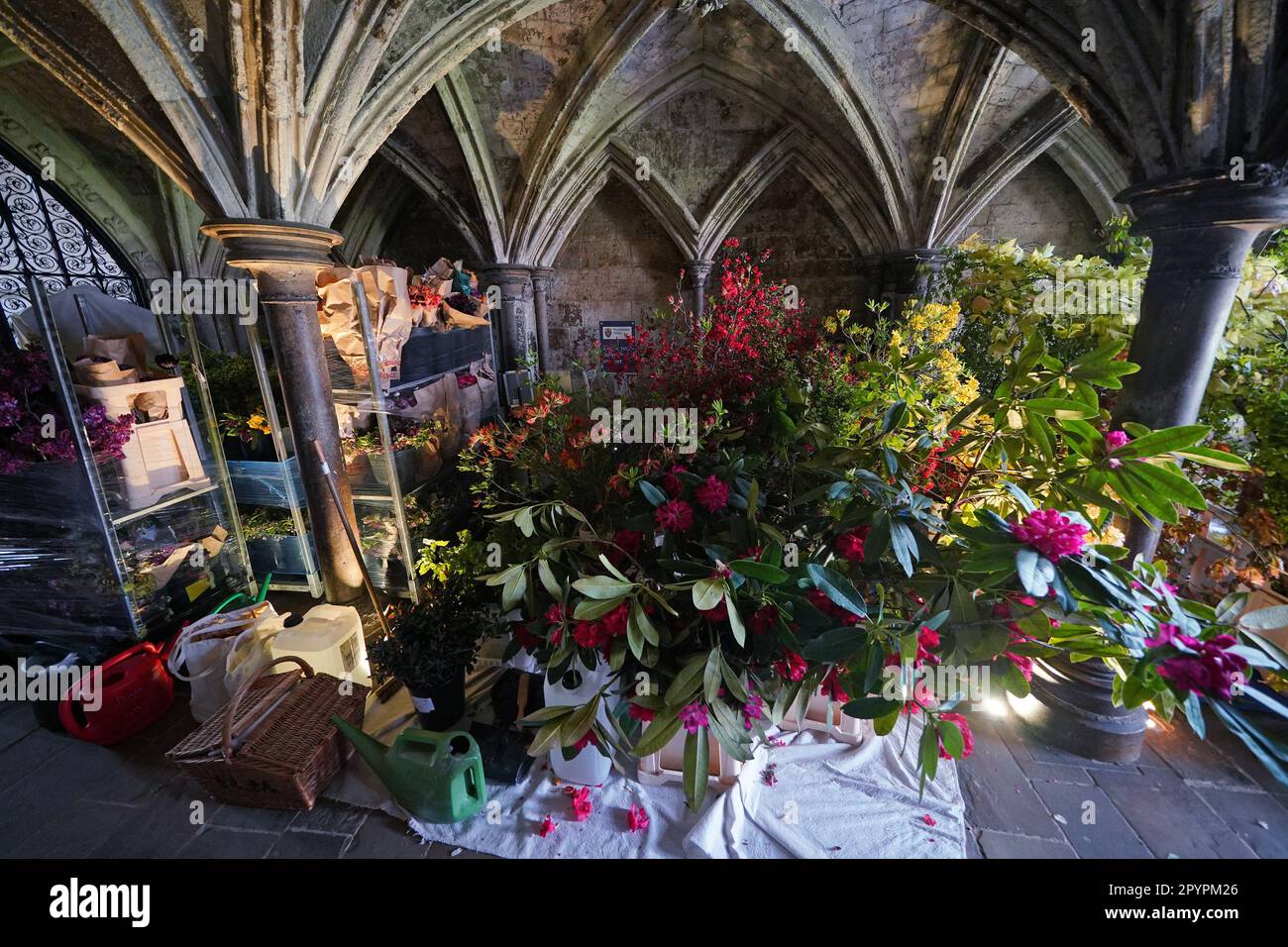 Some of the coronation service flowers at Chapter House, Westminster ...
