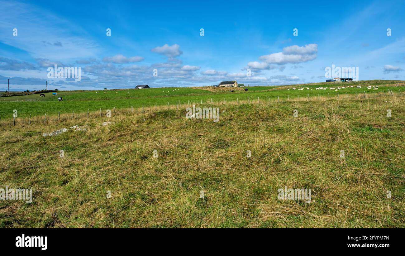 Newlands of Clyth broch, Upper Lybster broch, site of ruins Stock Photo ...