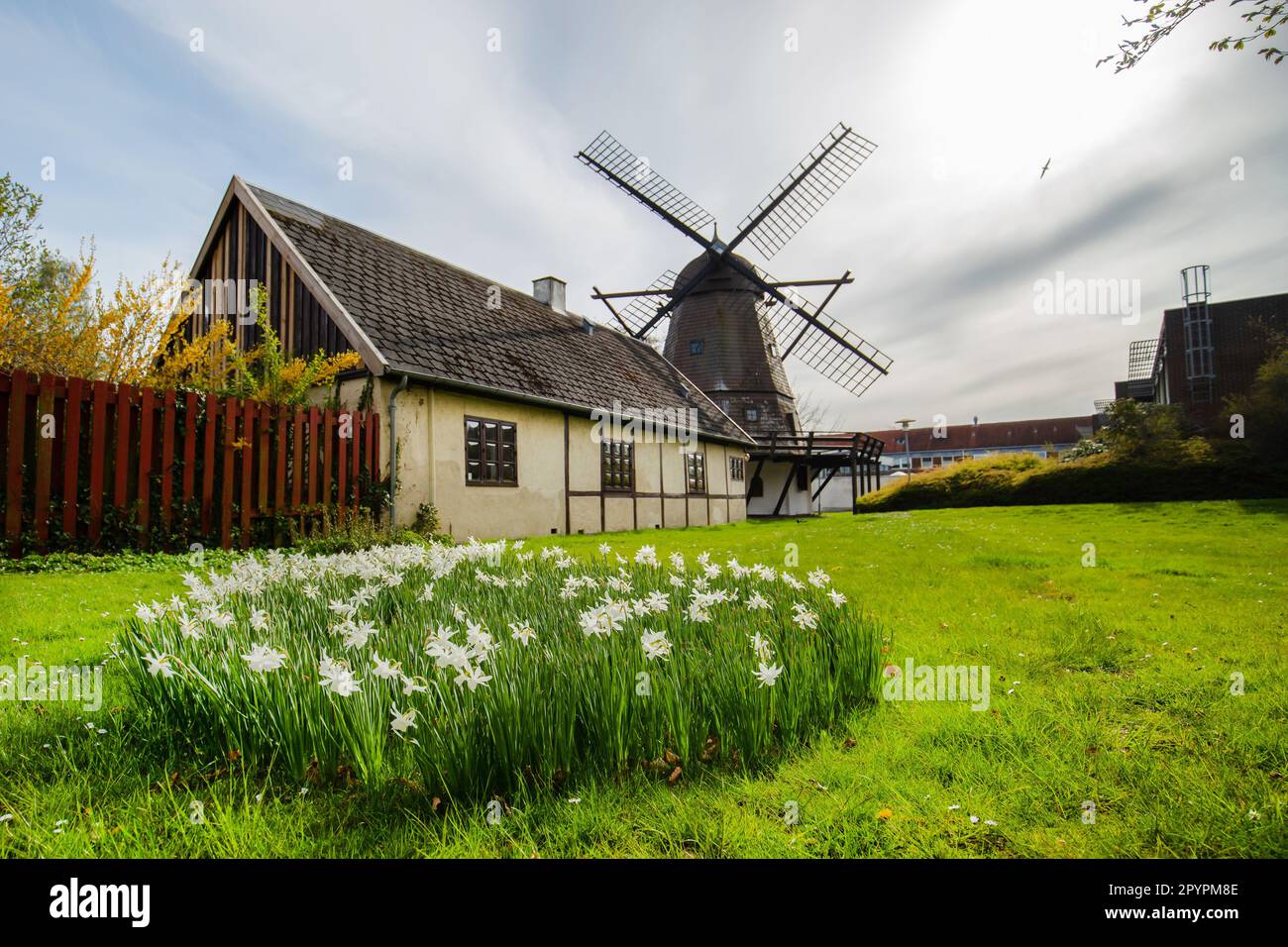 Old windmill of Brondby in Denmark on sunny day Stock Photo - Alamy