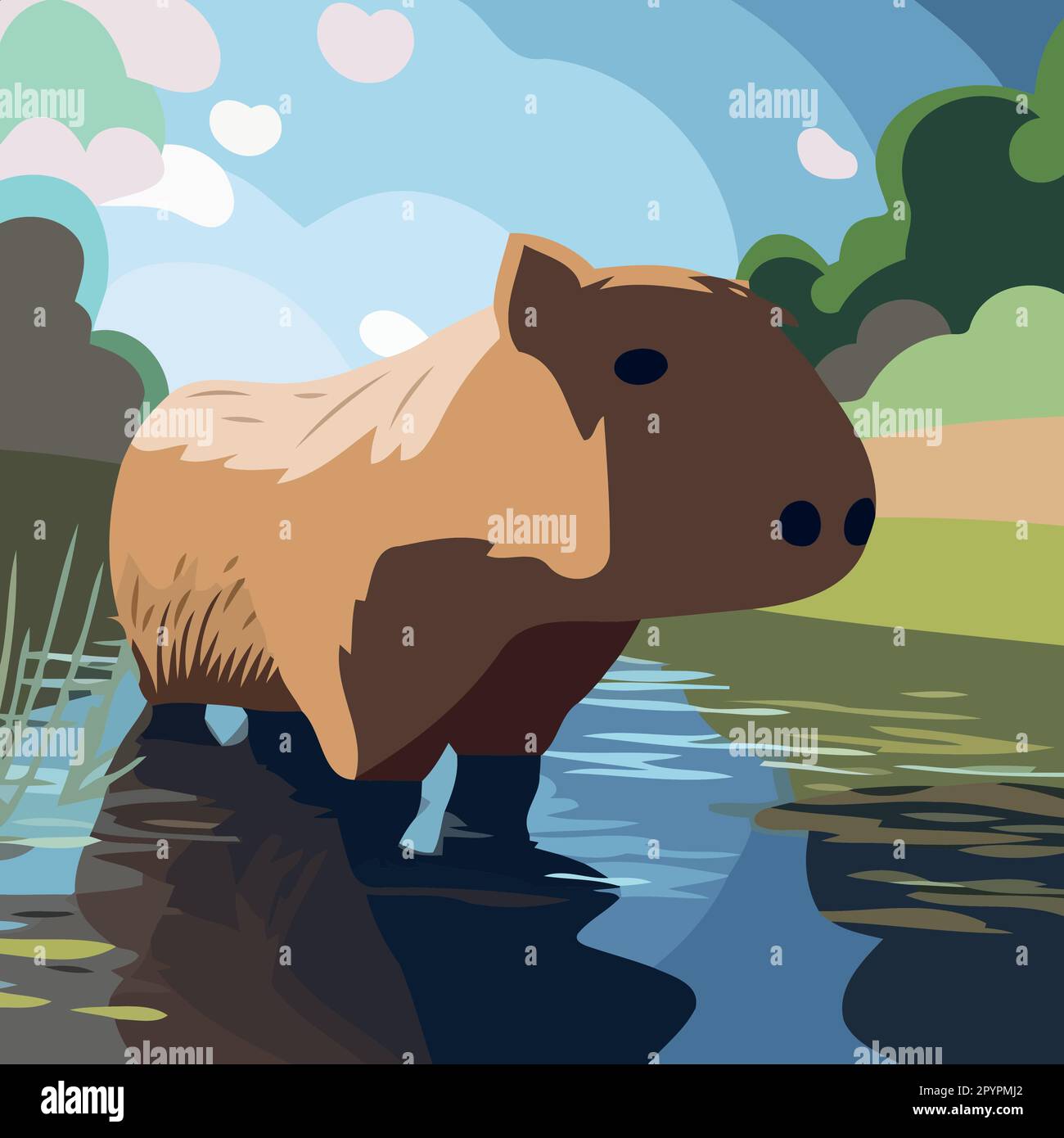 capybara in water natural scenery minimalistic vector illustration ...