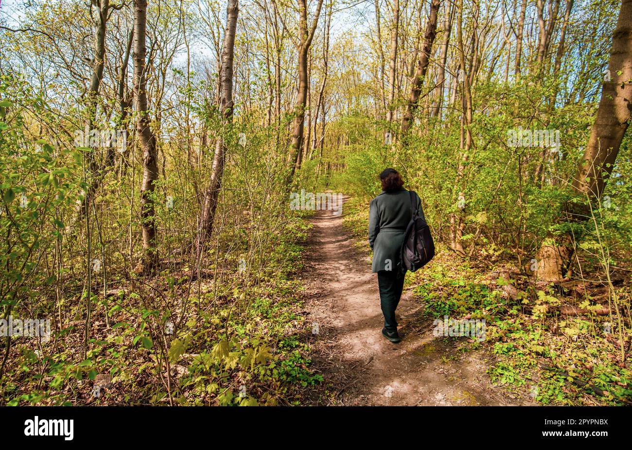 Beautiful woman walking in forest hi-res stock photography and images ...