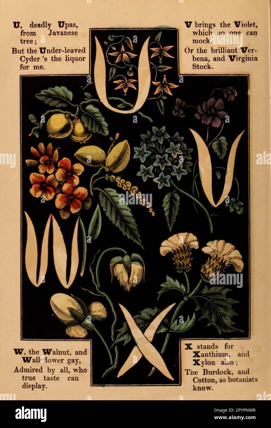 X is for Stock Photo - Alamy