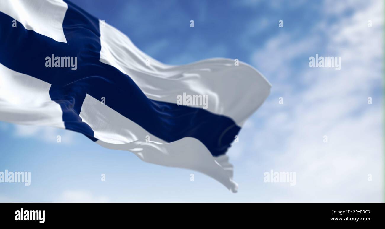 The national flag of Finland waving in the wind on a clear day. Blue ...