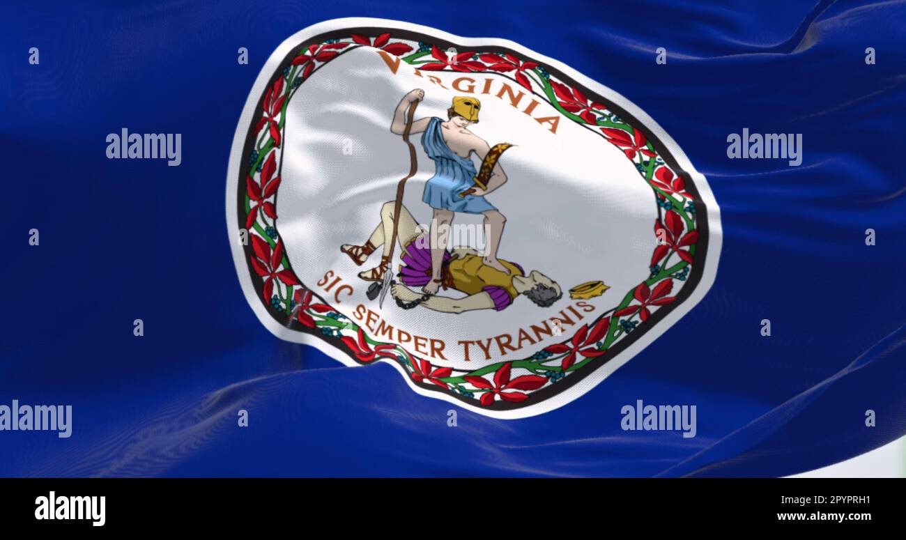 Close-up of Virginia state flag waving in the wind. Blue field with a ...