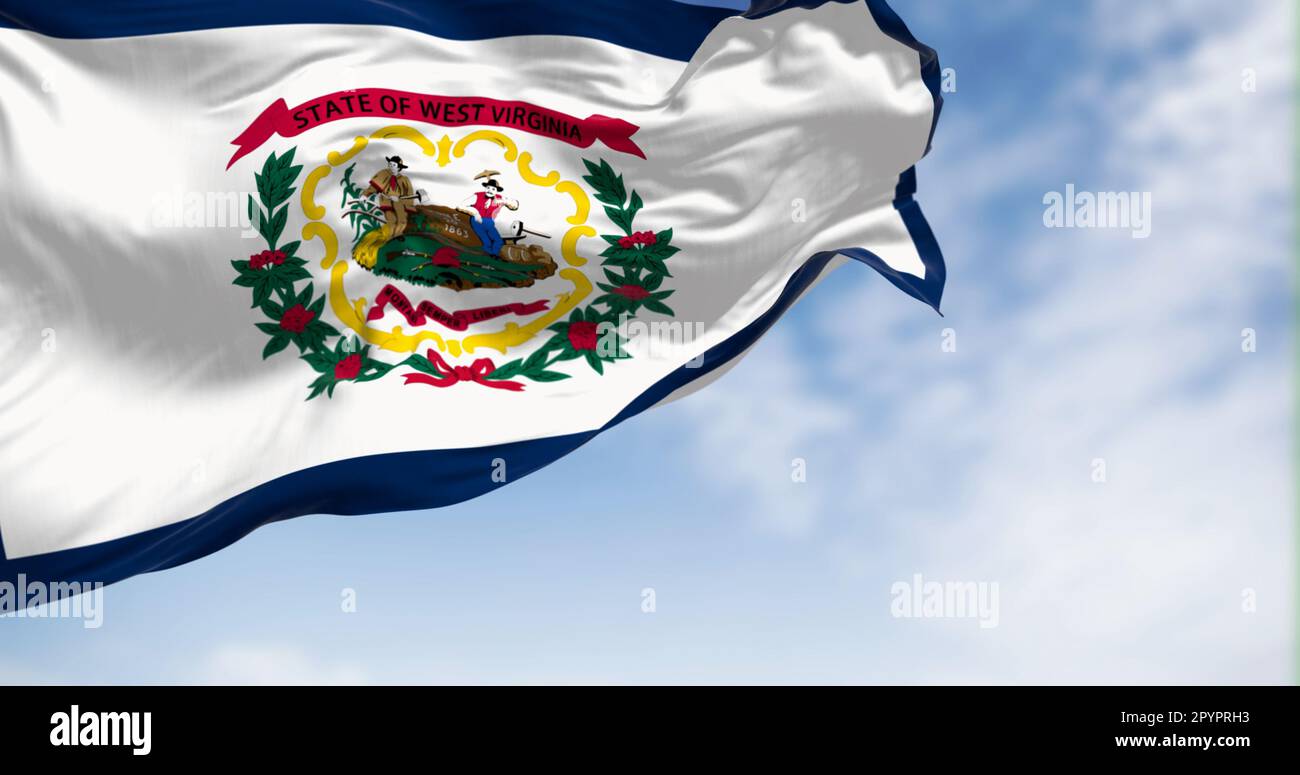 West Virginia state flag waving on the wind on a clear day. White field ...