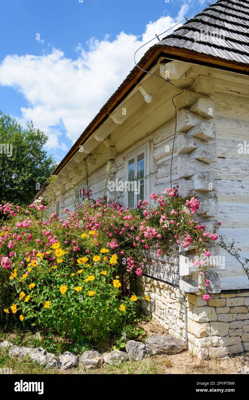 Flowers in front of an old house Stock Photo - Alamy