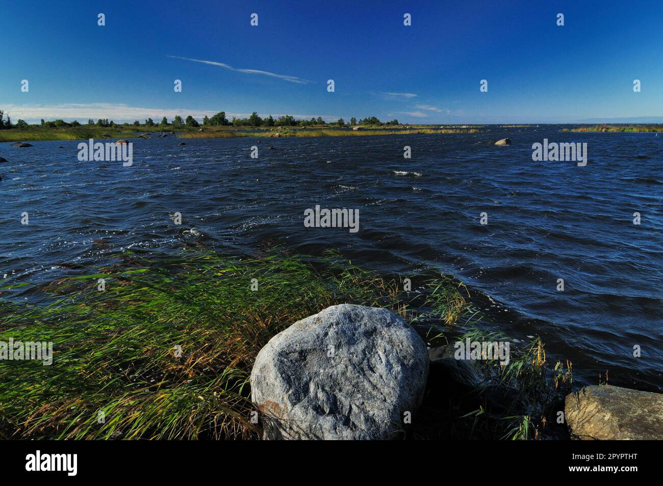 Wind On The Seashore In Svedjehamn On Kvarken Islands Finland On A ...