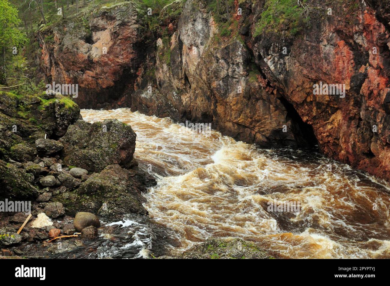Wild Gorge At Kiutakongas River In Oulanka National Park Finland On An ...