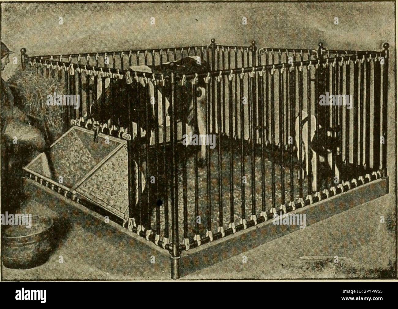 A modern type of cow pen Stock Photo - Alamy