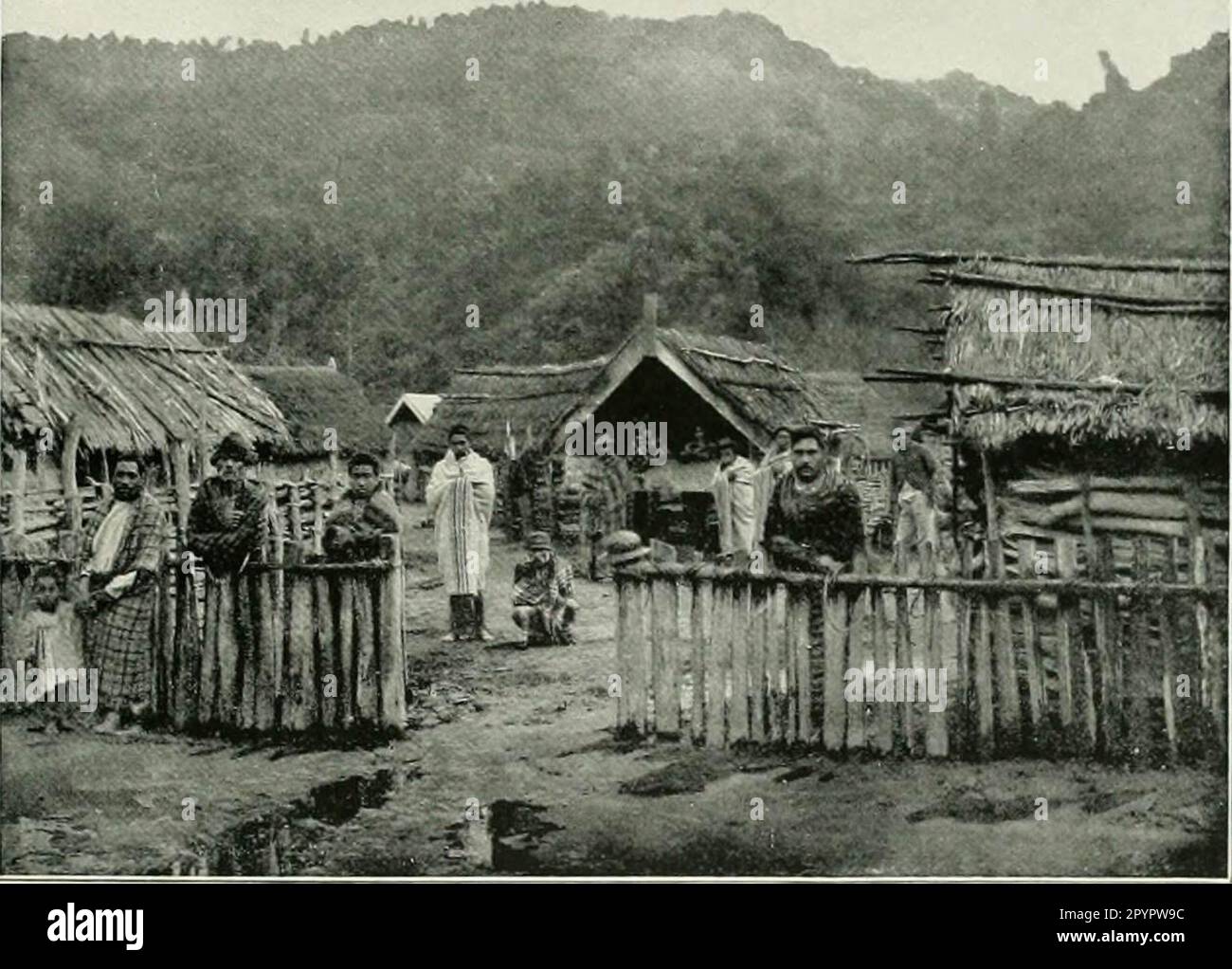 Historic maori village hi-res stock photography and images - Alamy